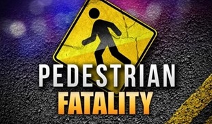 Elizabeth Ann Atkinson, 47, killed in Daphne pedestrian accident